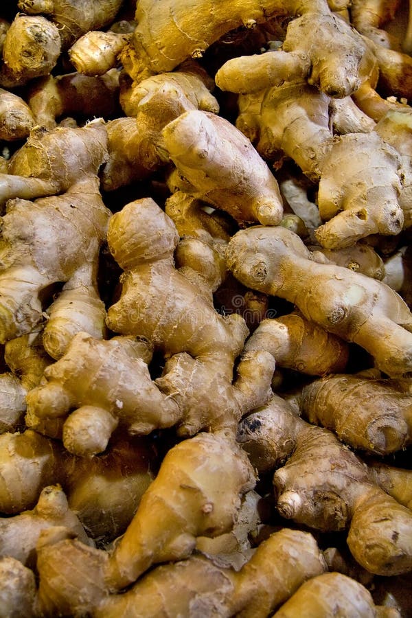Fresh Organic Ginger stock photo. Image of edible, detail - 20113696