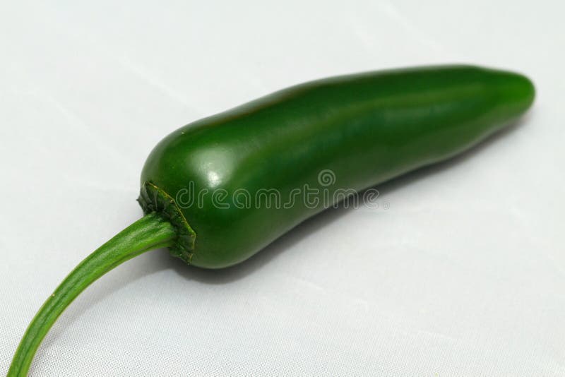 Fresh Green Chilli Single In A White Background Stock Image - Image of ...