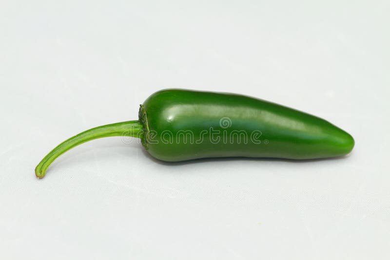 Fresh Green Chilli Single in a White Background Stock Image - Image of ...