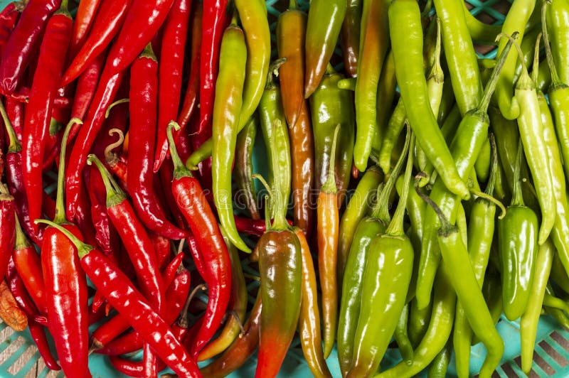 Fresh Organic Button Mushroom Forming a Beautiful Texture Pattern ...