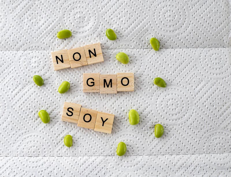 Fresh Organic Green Soybeans - Non Gmo Soy Stock Photo - Image of bean ...