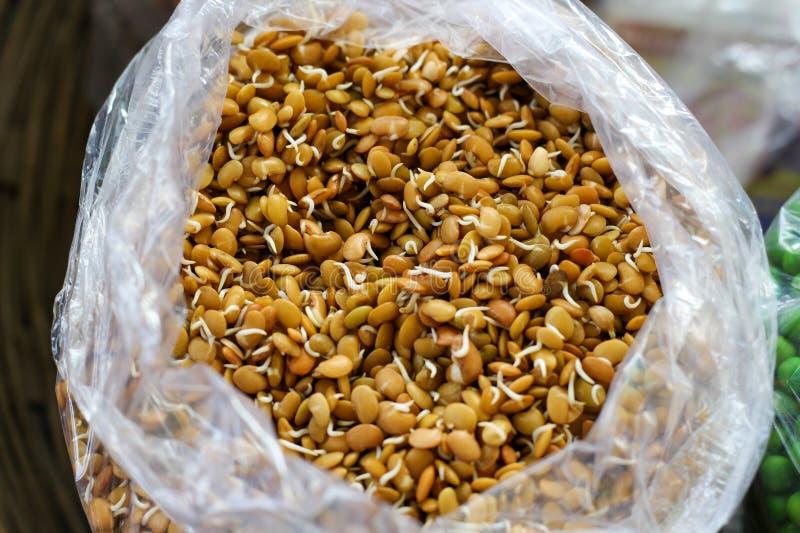 Fresh Organic Horse Gram Sprouts in a Plastic Bag Stock Photo - Image ...
