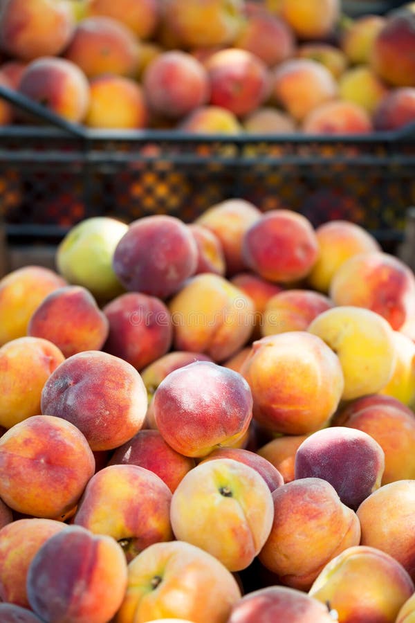 Fresh Organic Juicy Peaches at Market Stock Image - Image of colors ...