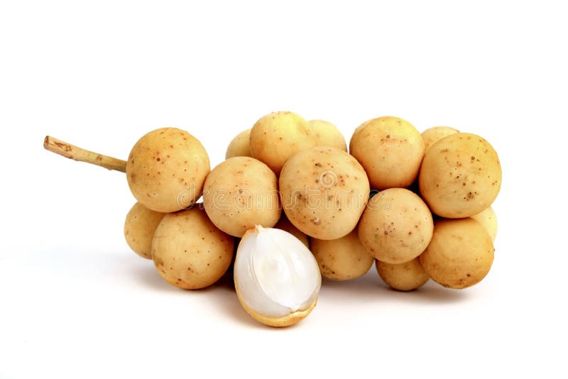 Lanzones fruit isolated stock image. Image of gourmet - 25369025