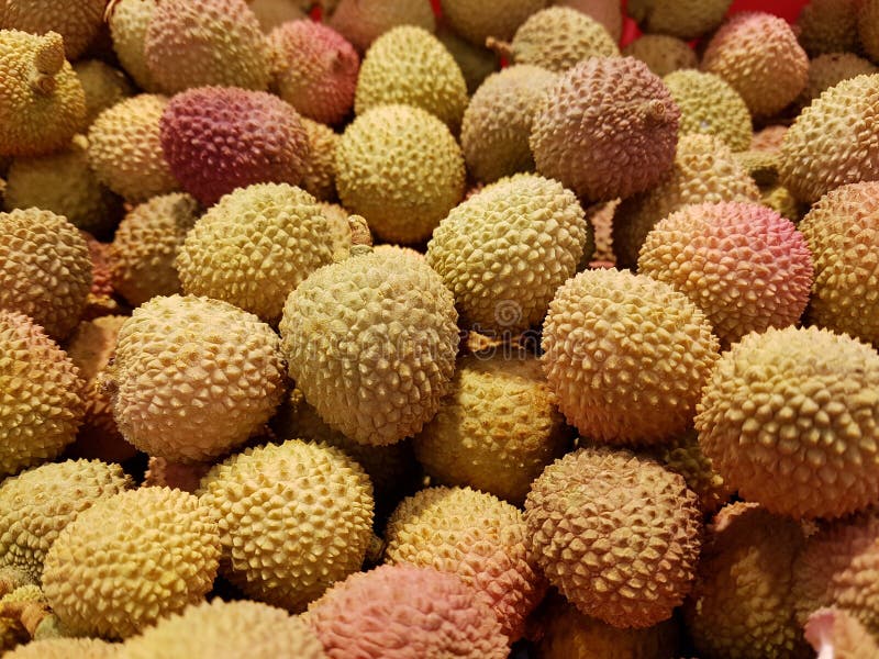 Lychee stock image. Image of diet, lichee, berry, tasty - 121015873