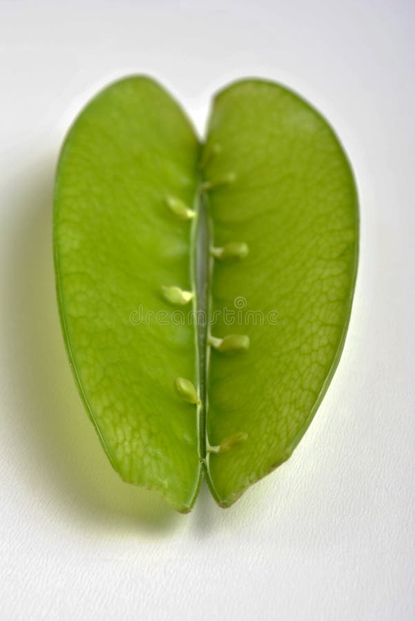 Mangetout, Also Known As Sugar Snap Pea Stock Image - Image of diet ...