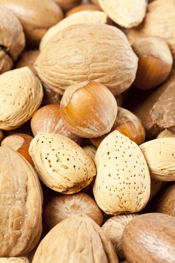 Fresh Organic Mixed Nuts stock image. Image of almond - 27898211