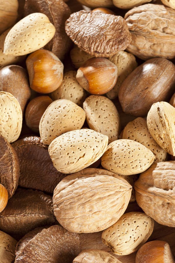 Fresh Organic Mixed Nuts stock image. Image of cashews - 27898879