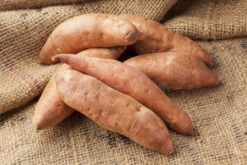Fresh orange sweet potato stock image. Image of background - 132711063