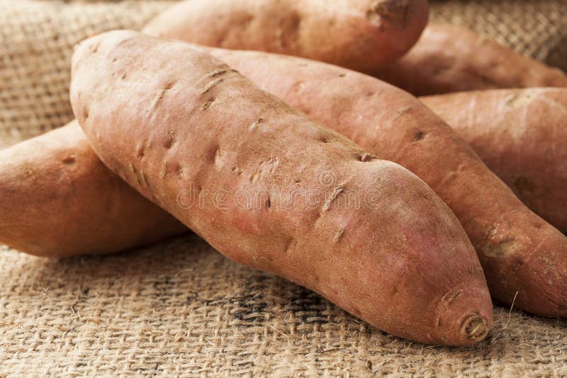 Fresh Organic Orange Sweet Potato Stock Photo - Image of root, potato ...