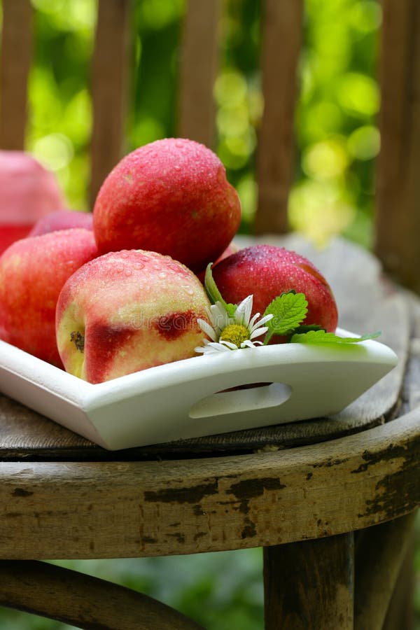 Organic peach fruit stock photo. Image of nature, life - 133984894