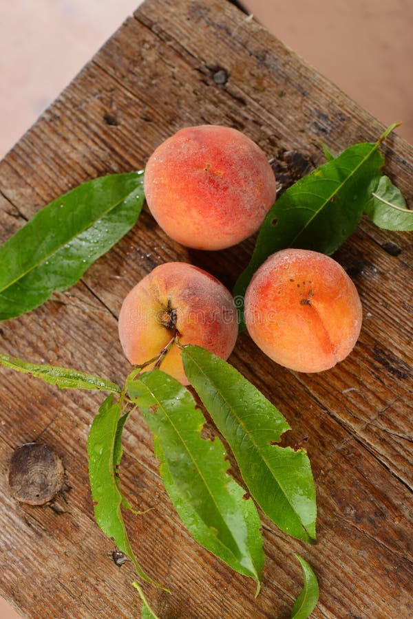 Fresh organic peaches stock photo. Image of marmalade - 37183428