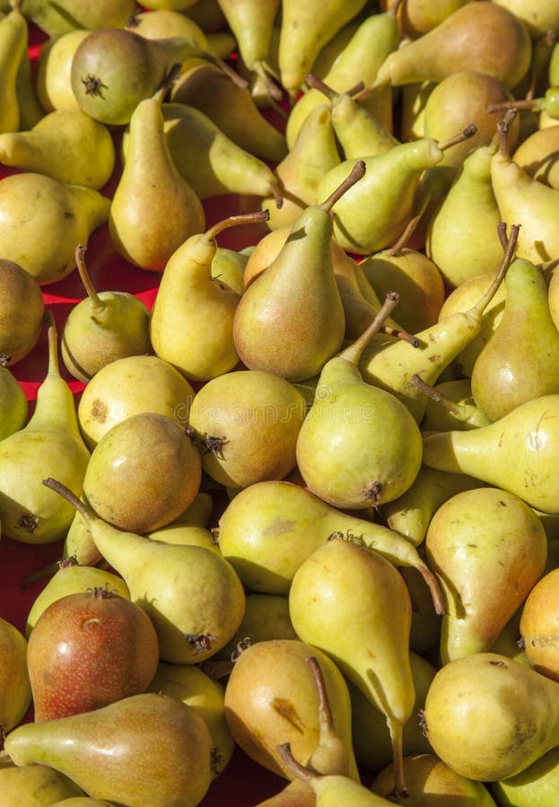 Fresh organic pears stock photo. Image of market, healthy - 32244896