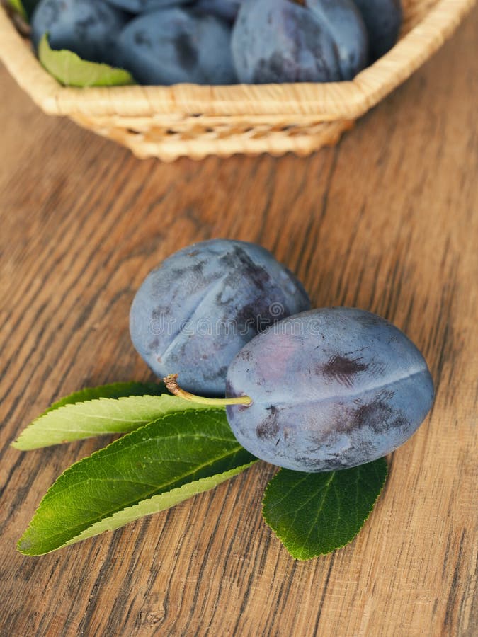 Fresh organic plums stock photo. Image of fruit, garden - 122499416