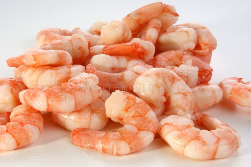 Dressed Rainbow Trout stock image. Image of nutrition - 19725611