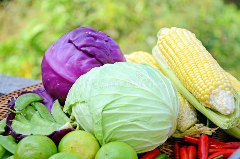 Fresh Organic Products. stock image. Image of kale, crop - 37640729