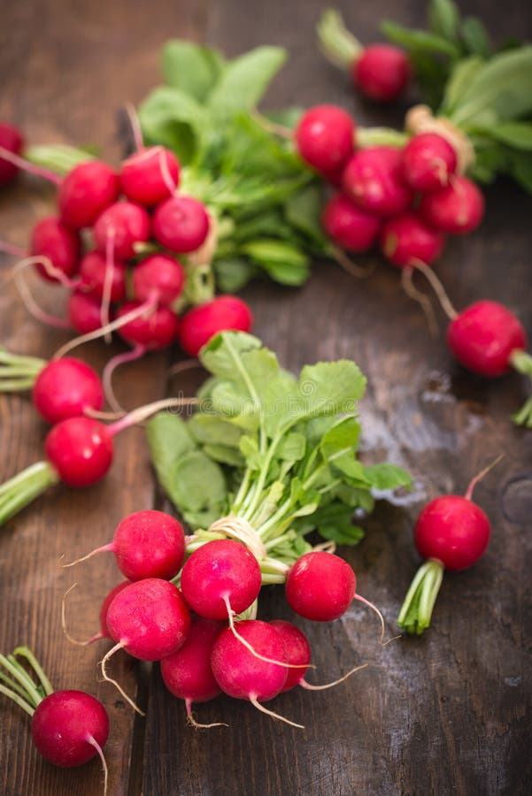 Fresh organic radishes stock image. Image of fresh, garden - 115464617