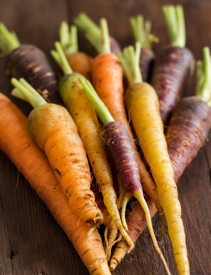 Fresh Organic Rainbow Carrots Stock Image - Image of diet, nutritious ...
