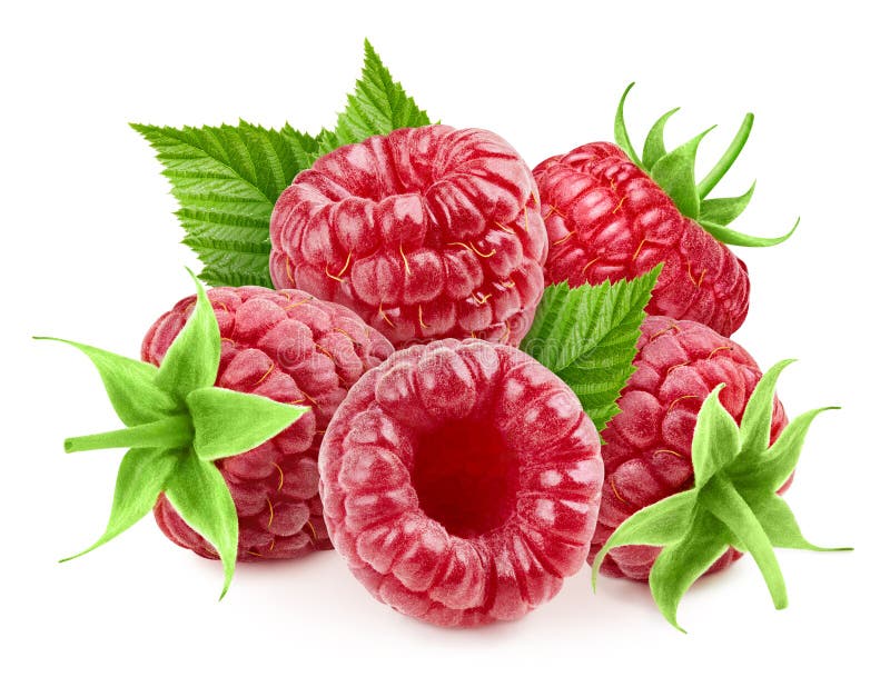 Fresh Organic Raspberry with Leaves Isolated Stock Image - Image of ...