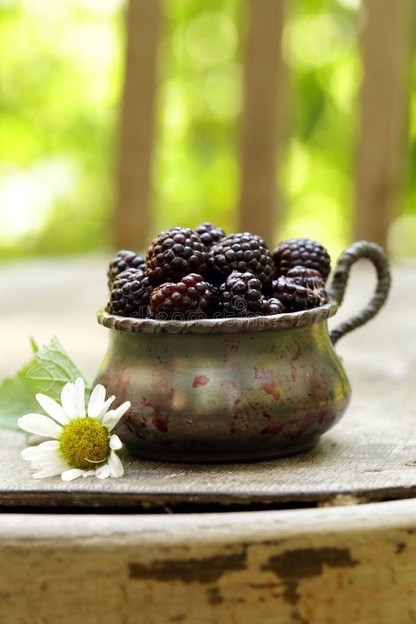 Fresh organic raspberry stock photo. Image of summer - 123742608