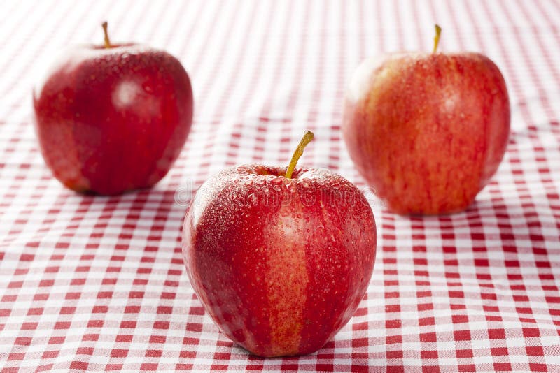 Fresh Organic Red Apple stock photo. Image of bright - 26229476