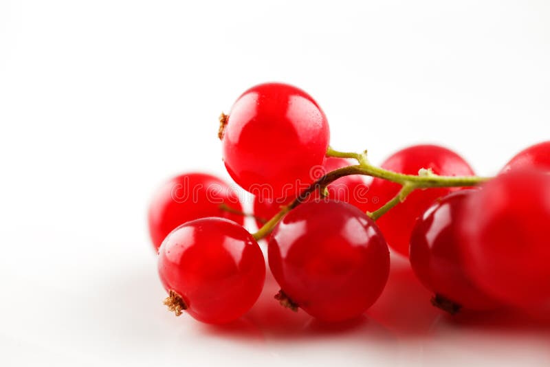 Fresh organic red currants on a white ceramic surface, Fresh organic ...