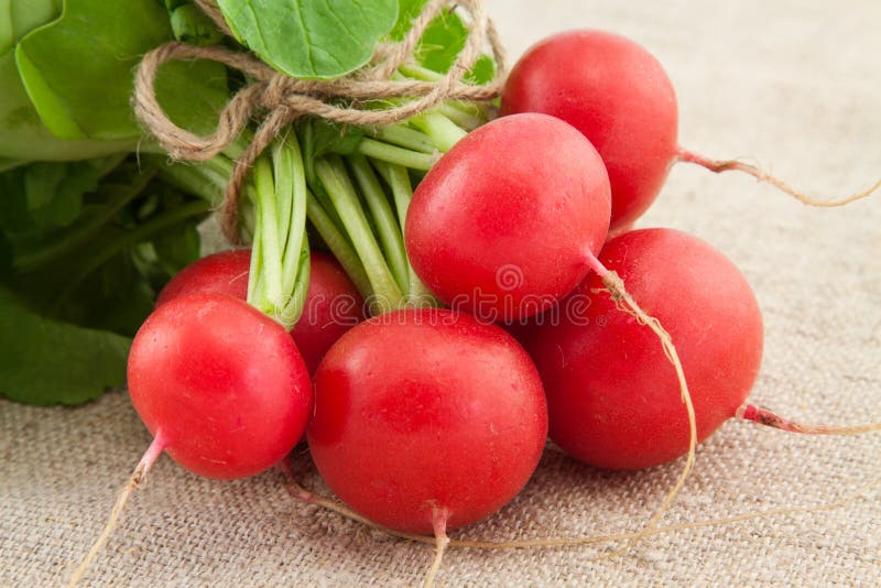 Red Radish stock image. Image of plant, bundle, agriculture - 25056151