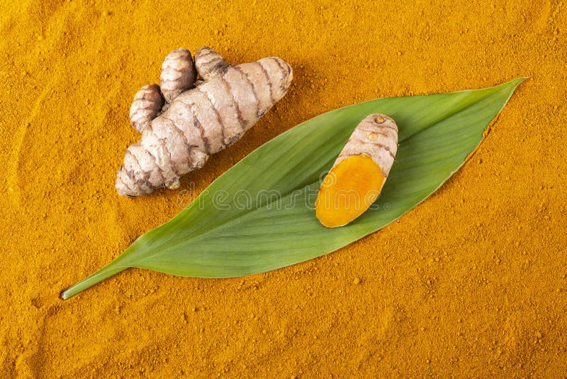 Fresh Organic Root and Turmeric Powder - Curcuma Longa Stock Photo ...
