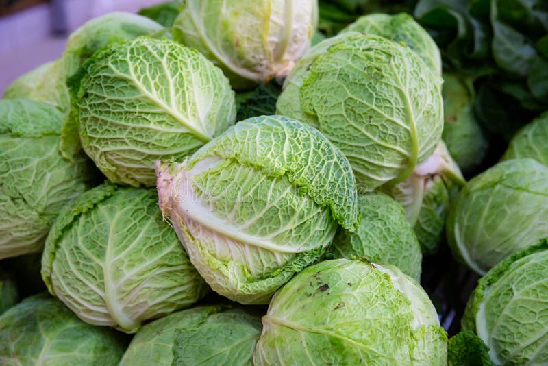 Fresh Organic Salad and Cabbage in Greengrocery Shop Stock Image ...