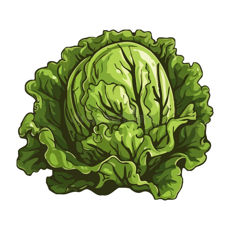Kale Clip Art Stock Illustrations – 137 Kale Clip Art Stock ...