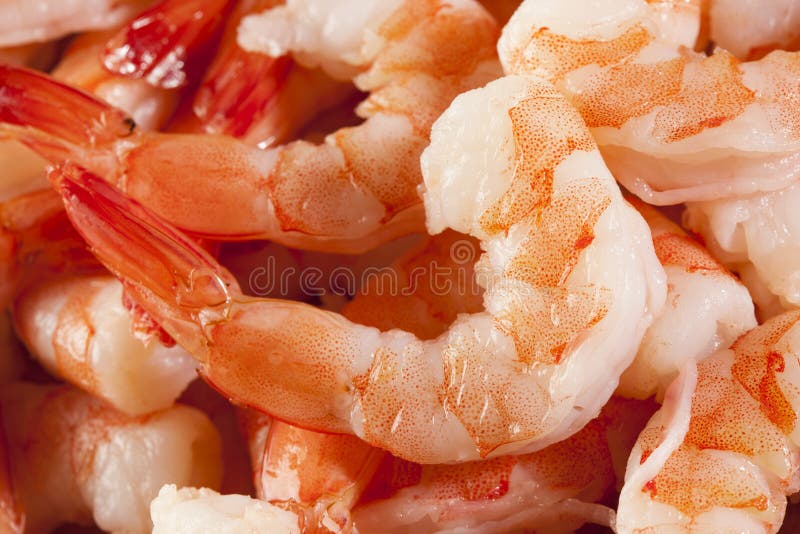 Fresh Organic Shrimp Cocktail Stock Photo - Image of tail, gourmet ...