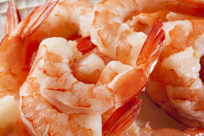 Fresh Organic Shrimp Cocktail Stock Photo - Image of sauce, cuisine ...
