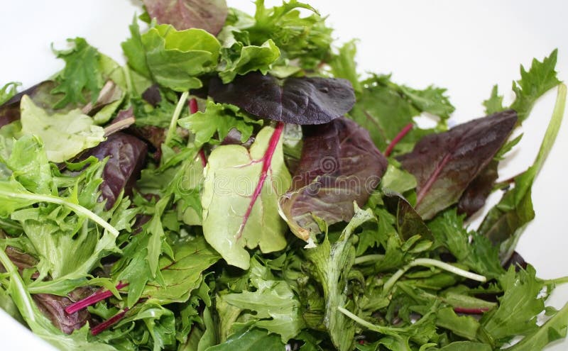 Fresh Organic Spring Mix Greens Stock Photo - Image of mixture, calorie ...