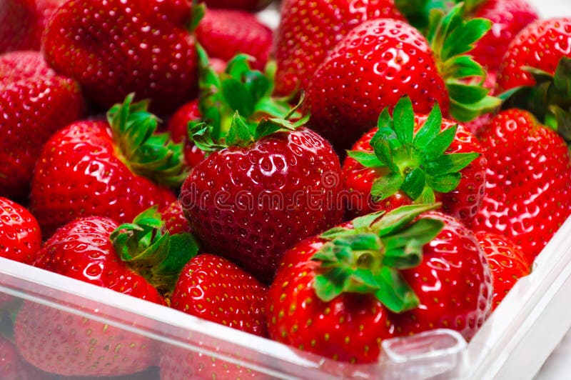 Fresh Organic Strawberries. Stock Photo - Image of macro, nature: 20011696