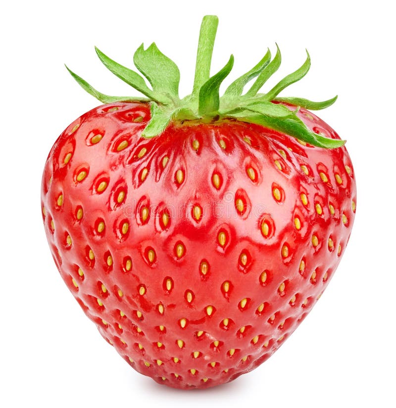 Fresh Organic Strawberry Leaf Isolated Stock Photo - Image of healthy ...