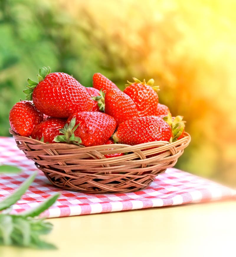 Organic Strawberry in California Field Stock Photo - Image of plant ...
