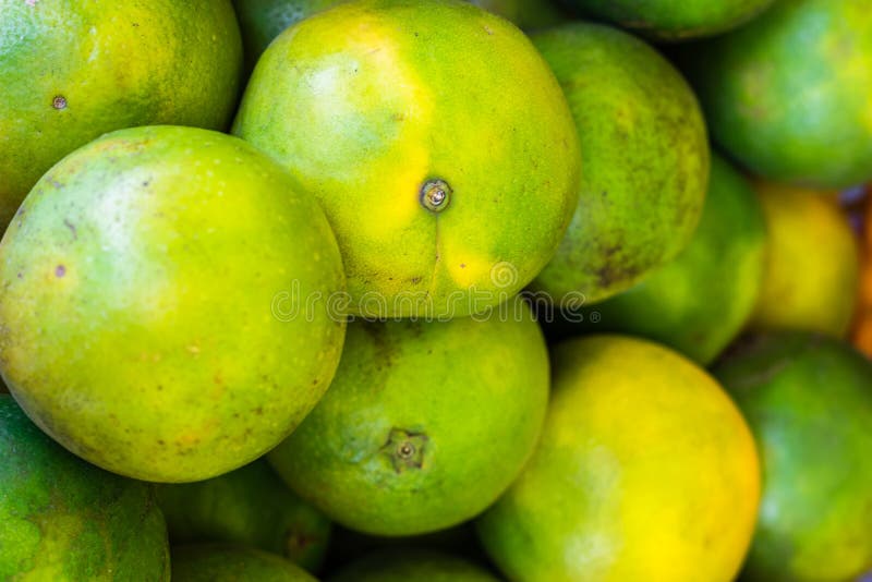 Fresh Organic Sweet Lime from Farm Close Up from Different Angle Stock ...
