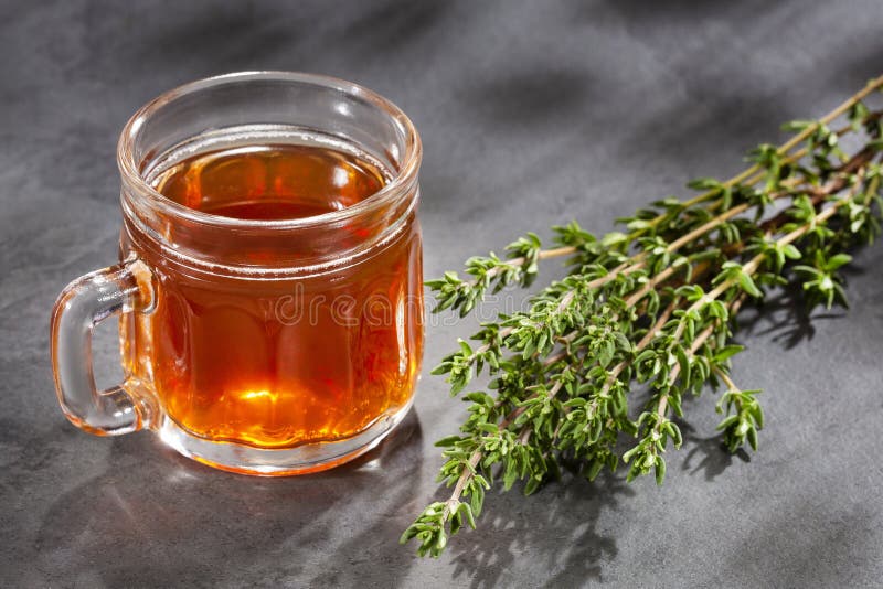 Fresh and Organic Thyme Tea - Thymus Stock Image - Image of organic ...