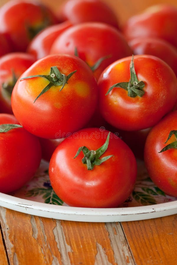 Fresh Organic Tomatoes stock photo. Image of green, ripe - 14439954