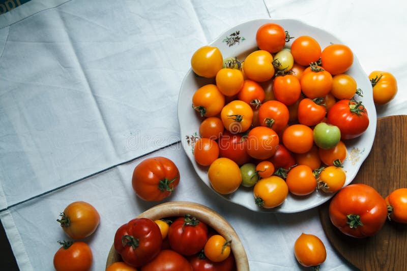 Fresh Organic Tomatoes of Different Colors Stock Photo - Image of mini ...