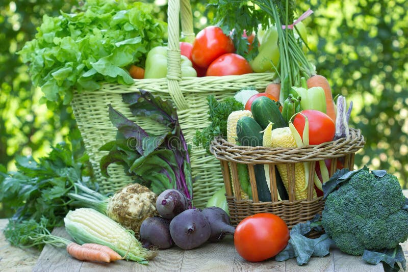 Fresh Organic Vegetables in Wicker Basket in the Garden Stock Image ...