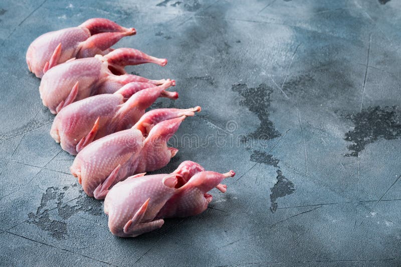 Fresh Organic Whole Quails Meat, on Grey Background with Space for Text ...