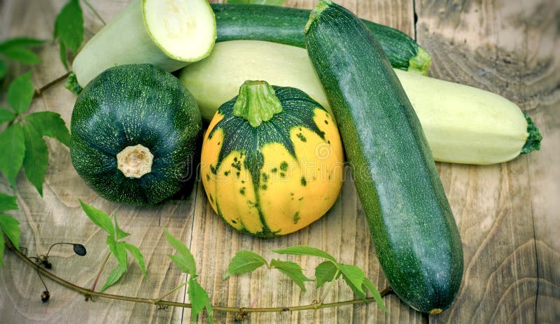 Fresh Organic Zucchini, Marrow Squash and Pumpkin on Table Stock Image ...