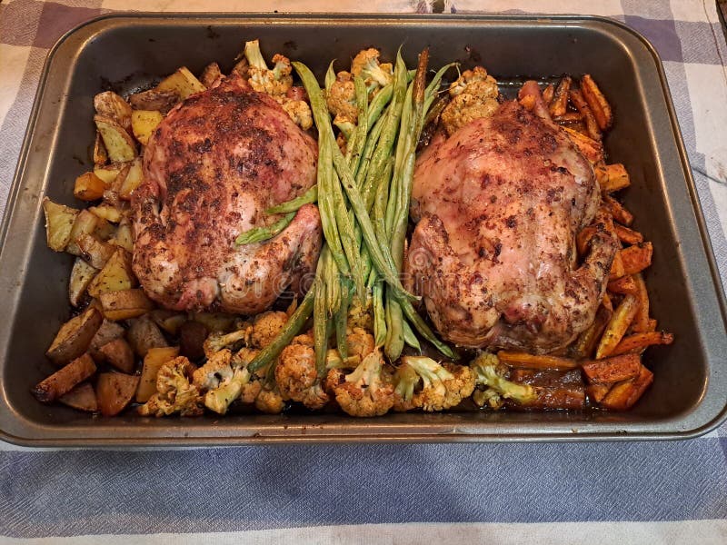 Fresh from the Oven Chicken and Veggies Stock Photo - Image of veggies ...