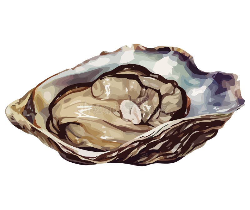 Fresh oyster design vector stock vector. Illustration of healthy ...