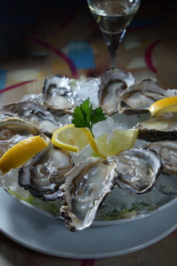 Fresh Oyster Namibia Ocean Ice Cube Stock Image - Image of bivalve ...