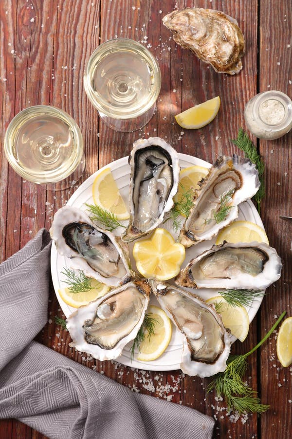 Belon flat oysters stock photo. Image of scallop, oyster - 23703110