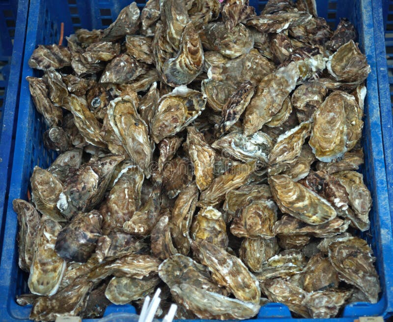 192 Oyster Bucket Photos - Free & Royalty-Free Stock Photos from Dreamstime