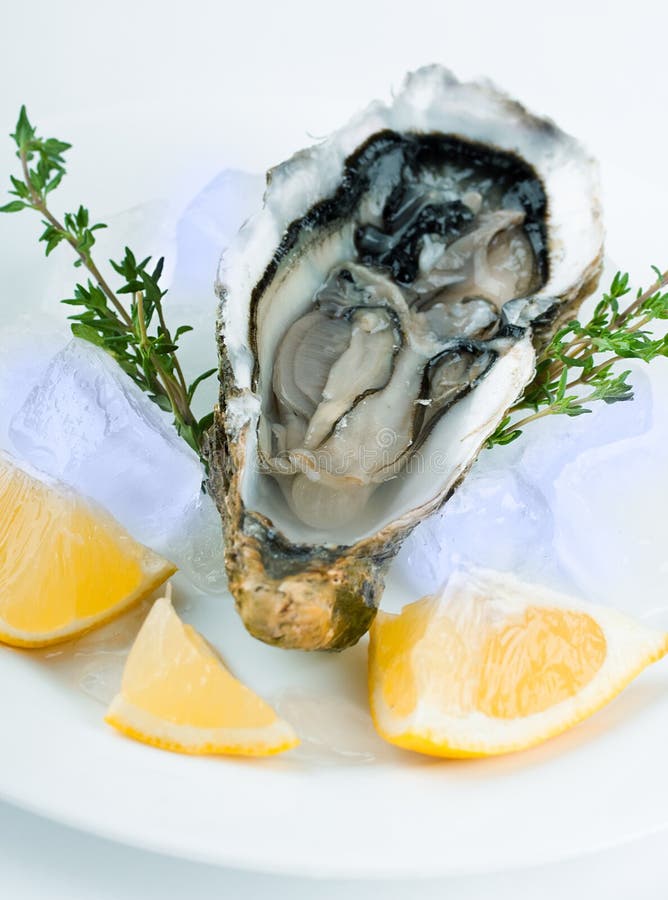 Red Caviar in Oyster Shells Stock Image - Image of food, culinary: 17927923