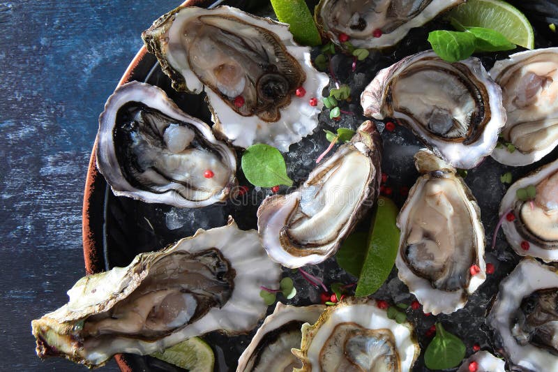 Fresh Oysters with Lime on a Round Plate. Several Varieties of Oysters ...